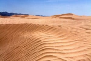 Las impresionantes Dunas de México ¡Aventúrate! | El Souvenir