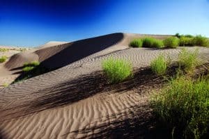 Viesca Coahuila el mejor lugar para descansar y relajarte | El Souvenir