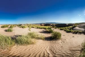 Viesca Coahuila el mejor lugar para descansar y relajarte | El Souvenir