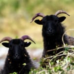 La leyenda de la iglesia de Chamula