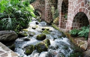 Peregrinaje a Chalma, ¿Cómo es?, ¡A bailar! | El Souvenir