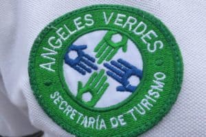 ¿Quiénes son los Ángeles verdes? | El Souvenir