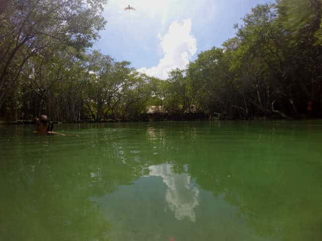 el corchito cenote | El Souvenir