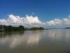 8 razones para hacer tu Recorrido por los pantanos de Centla en Tabasco
