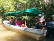 8 razones para hacer tu Recorrido por los pantanos de Centla en Tabasco