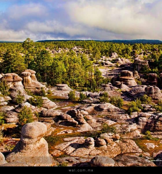 Formaciones rocosas extrañas y famosas de México