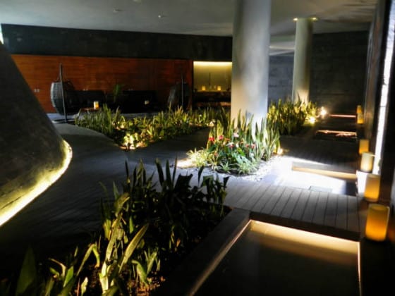 Visita Cenote Spa en el Grand Hyatt Playa del Carmen