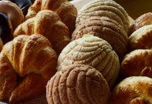 Chihuahua huele a Manzana