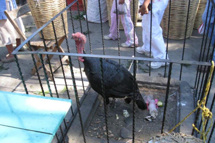 Zaachila, un pueblo para adentrarse en la cultura zapoteca | El Souvenir