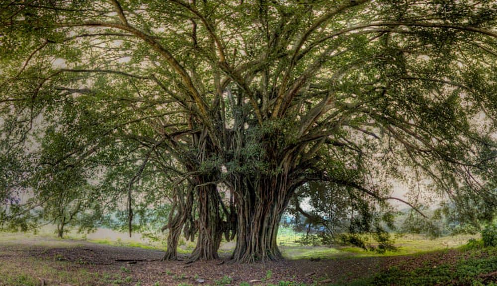 ¡Conoce Colima por primera vez!