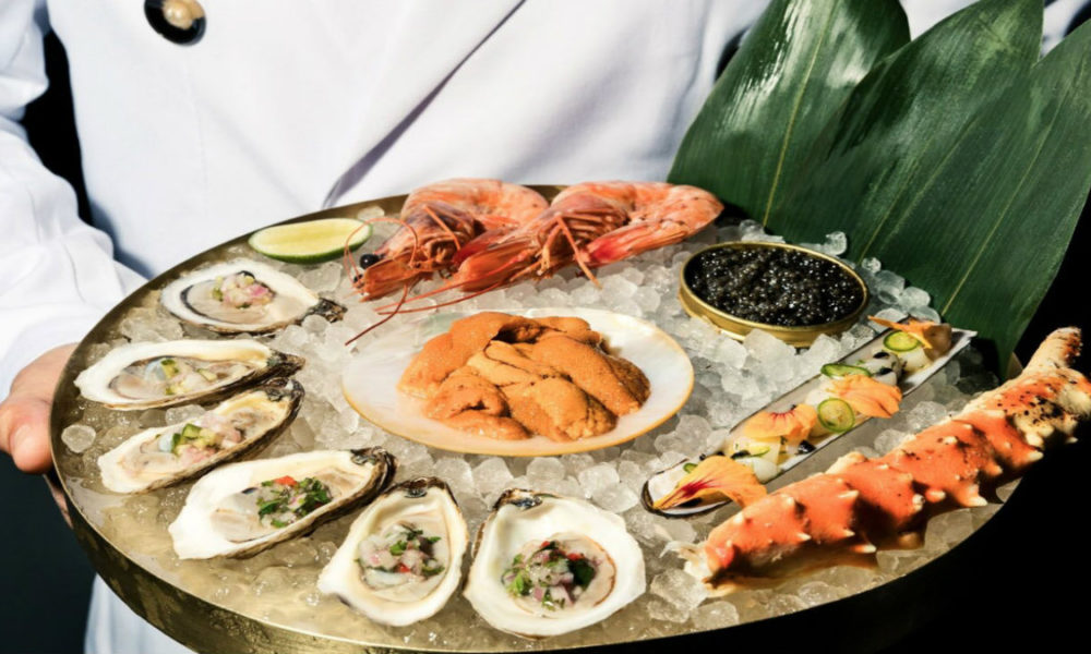 ¿Qué es Ceviche Project en Ixtapa Zihuatanejo? | El Souvenir