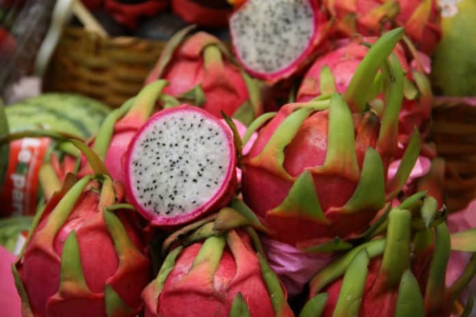 Nopales tunas y xoconostles. Parte de la identidad mexicana | El Souvenir