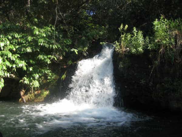 La hermosura de Parácuaro en Michoacán | El Souvenir