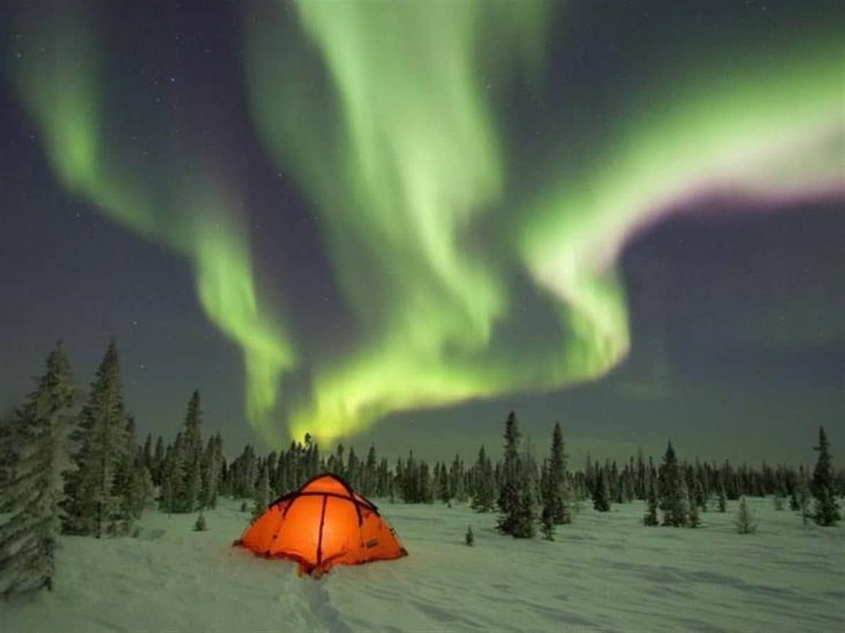 Camping-Bosque Boreal, Canadá | El Souvenir