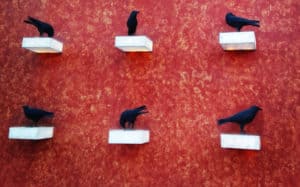 Experiencia en el Pueblo mágico de Tequila | El Souvenir