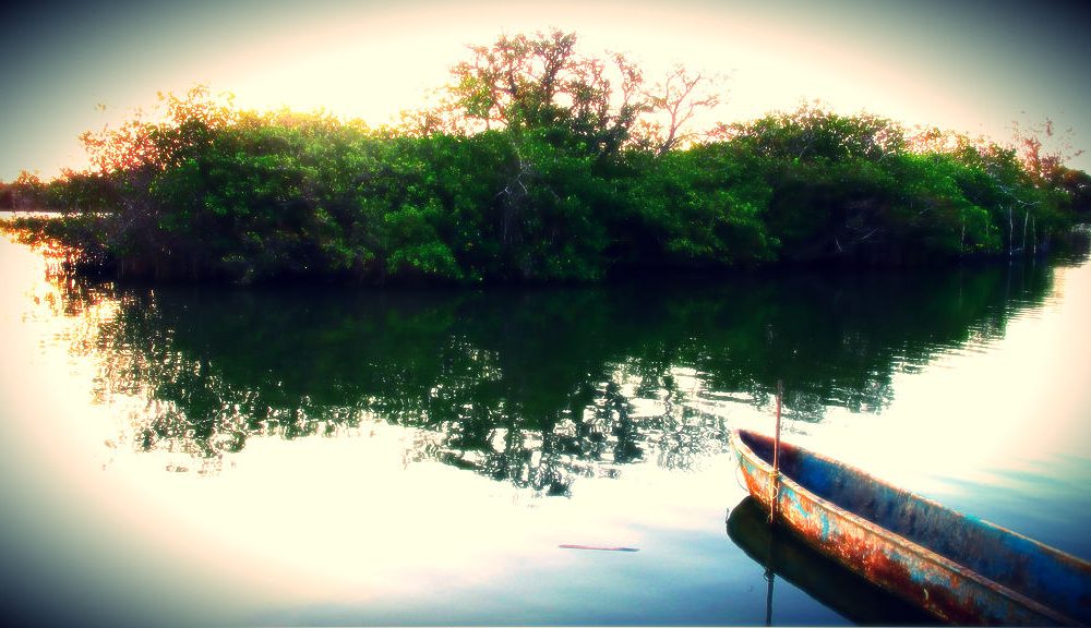 ¿Ya conoces la Laguna de Mandinga? ¡es el encanto de Veracruz y te la ...