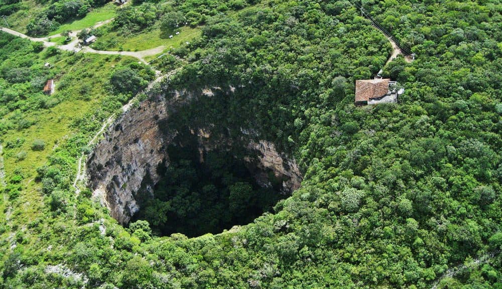 ¿Ya conoces la Sima de las Cotorras? ¡otra maravilla de Chiapas! | El ...