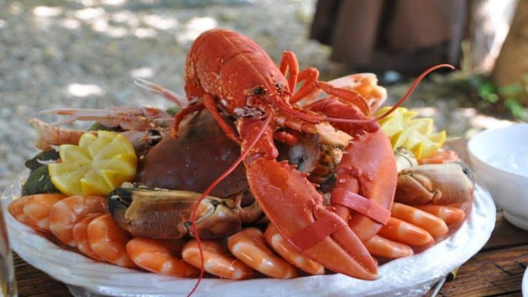 21 Platillos de mariscos mexicanos ¡Que no te debes perder! | El Souvenir