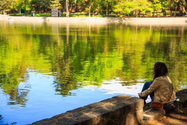 7 bosques dentro la CDMX para liberar el estrés | El Souvenir