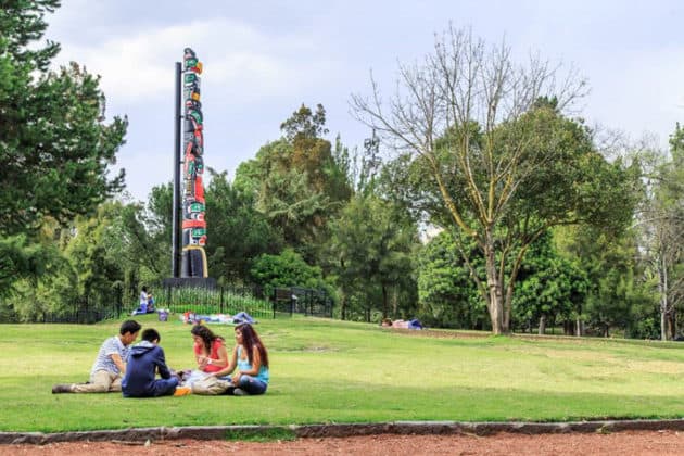 7 bosques dentro la CDMX para liberar el estrés | El Souvenir