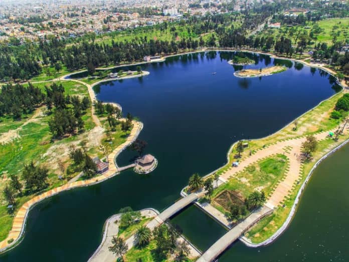 7 bosques dentro la CDMX para liberar el estrés | El Souvenir