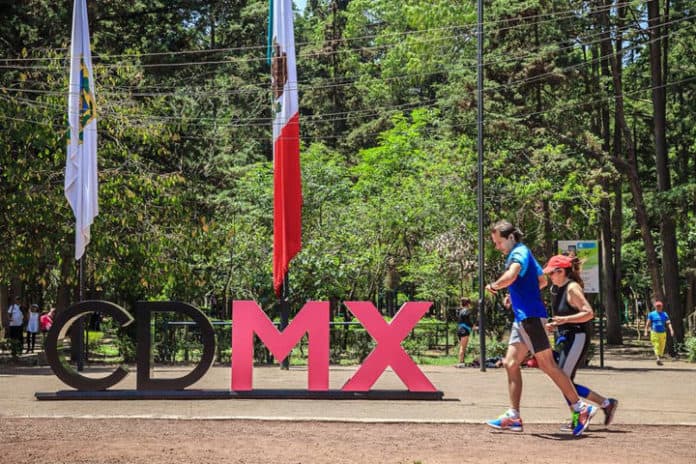 7 bosques dentro la CDMX para liberar el estrés | El Souvenir
