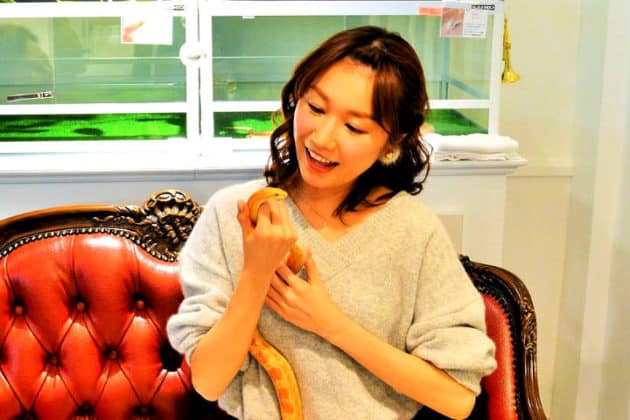 Restaurante para Acariciar Serpientes se abre en Japón | El Souvenir