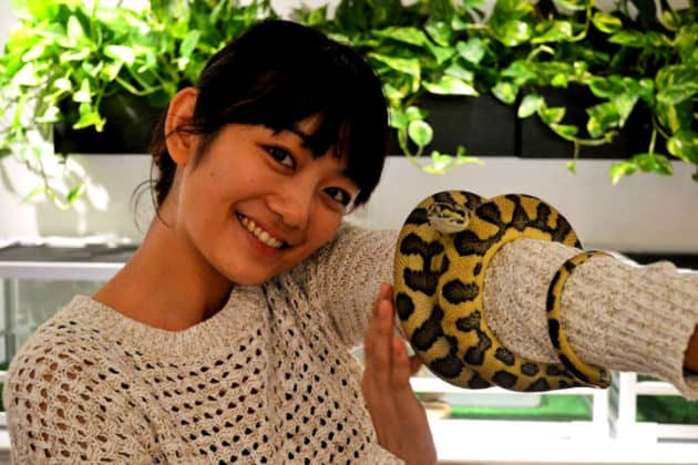 Restaurante para Acariciar Serpientes se abre en Japón | El Souvenir