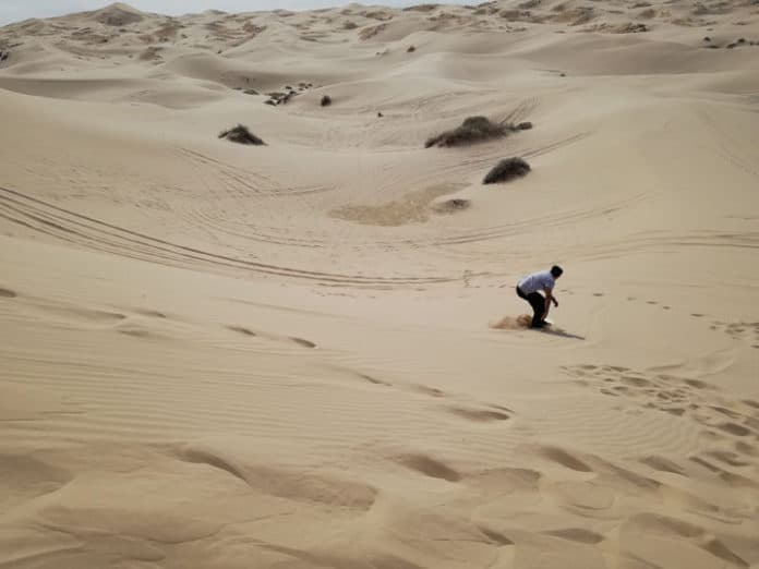 2 poderosas razones para escoger las Dunas de Samalayuca | El Souvenir