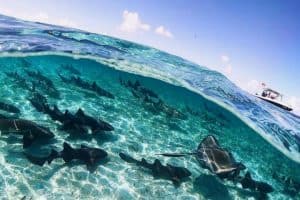 10 razones para visitar Belice ¡lo mejor para tus vacaciones! | El Souvenir