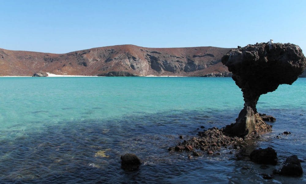 5 Opciones donde hospedarse en Balandra, BCS | El Souvenir