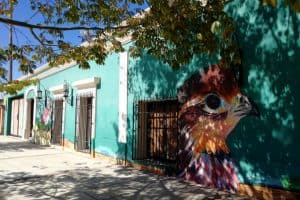 Cócorit el Pueblo de las Aves, merece ser Pueblo Mágico ¡ya! | El Souvenir