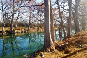 Majestuoso Río Sabinas, el hogar de cientos de aves | El Souvenir