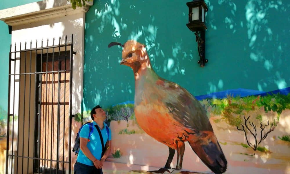 Cócorit el Pueblo de las Aves, merece ser Pueblo Mágico ¡ya! | El Souvenir