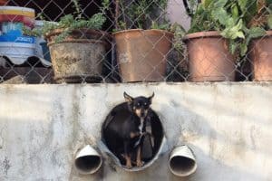 Que hacer en Tututepec en Oaxaca, el primer pueblo del estado