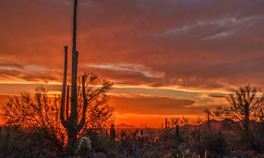 Arizona, el asombro hecho viaje | El Souvenir