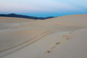 Dunas de Samalayuca, tan divertidas como la playa | El Souvenir