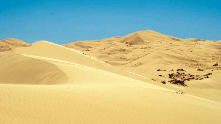 Qué hacer en Dunas de Samalayuca Chihuahua, un desierto muy divertido