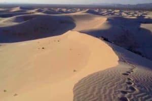 Dunas de Samalayuca, tan divertidas como la playa | El Souvenir