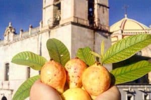 Cómo llegar a Calvillo, Pueblo Mágico de Aguascalientes | El Souvenir