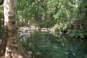 Las 7 razones por las que vacacionar en Tecomán, Colima | El Souvenir