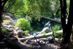 Las 7 razones por las que vacacionar en Tecomán, Colima | El Souvenir