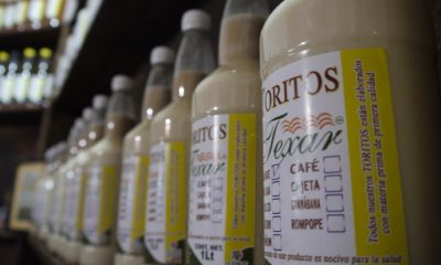 21 Platillos de mariscos mexicanos ¡que no te debes perder! | El Souvenir