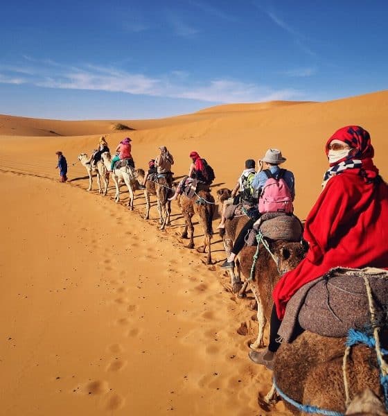 El Sahara, más que un desierto; descubre este paraíso | El Souvenir
