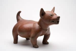 "Tlalchichi los perros de Colima" Maravíllate de su historia