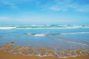 Playa Bagdad, la playa mexicana en Tamaulipas que es un lugar único ...