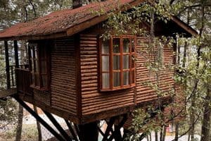 Cabañas Kali Tree en Puebla, Disfruta un fin de semana aquí | El Souvenir