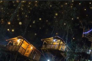 Cabañas Kali Tree en Puebla, Disfruta un fin de semana aquí | El Souvenir