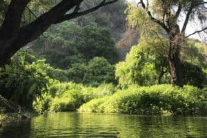 Atractivos de Coquimatlán Colima, te encantarán | El Souvenir