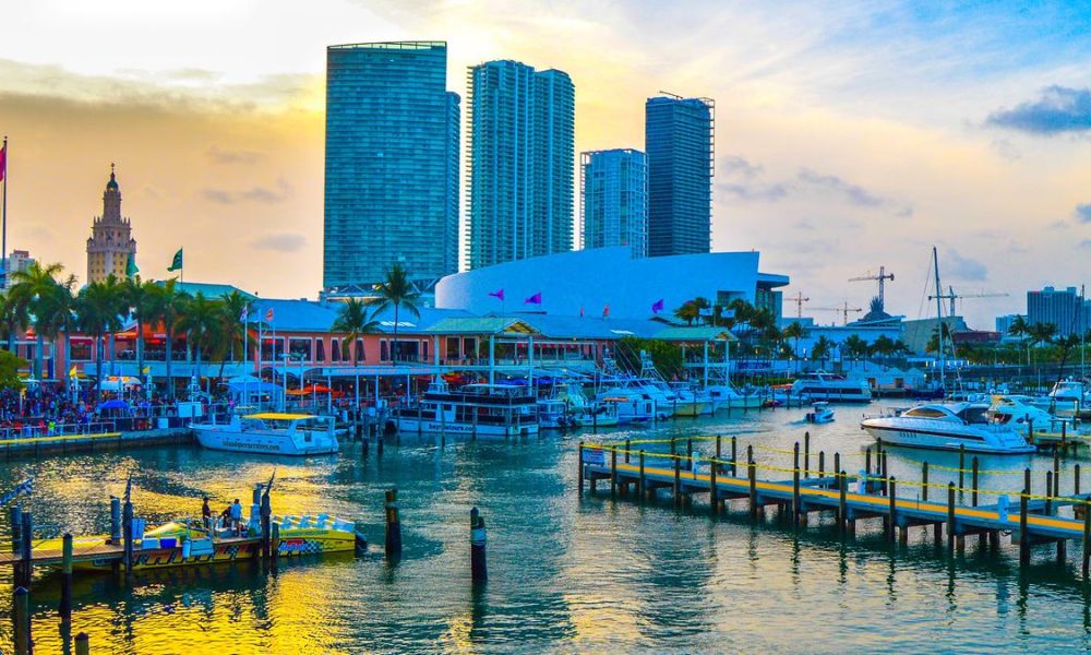 Visita el Puerto de Miami: el puerto líder del Caribe | El Souvenir